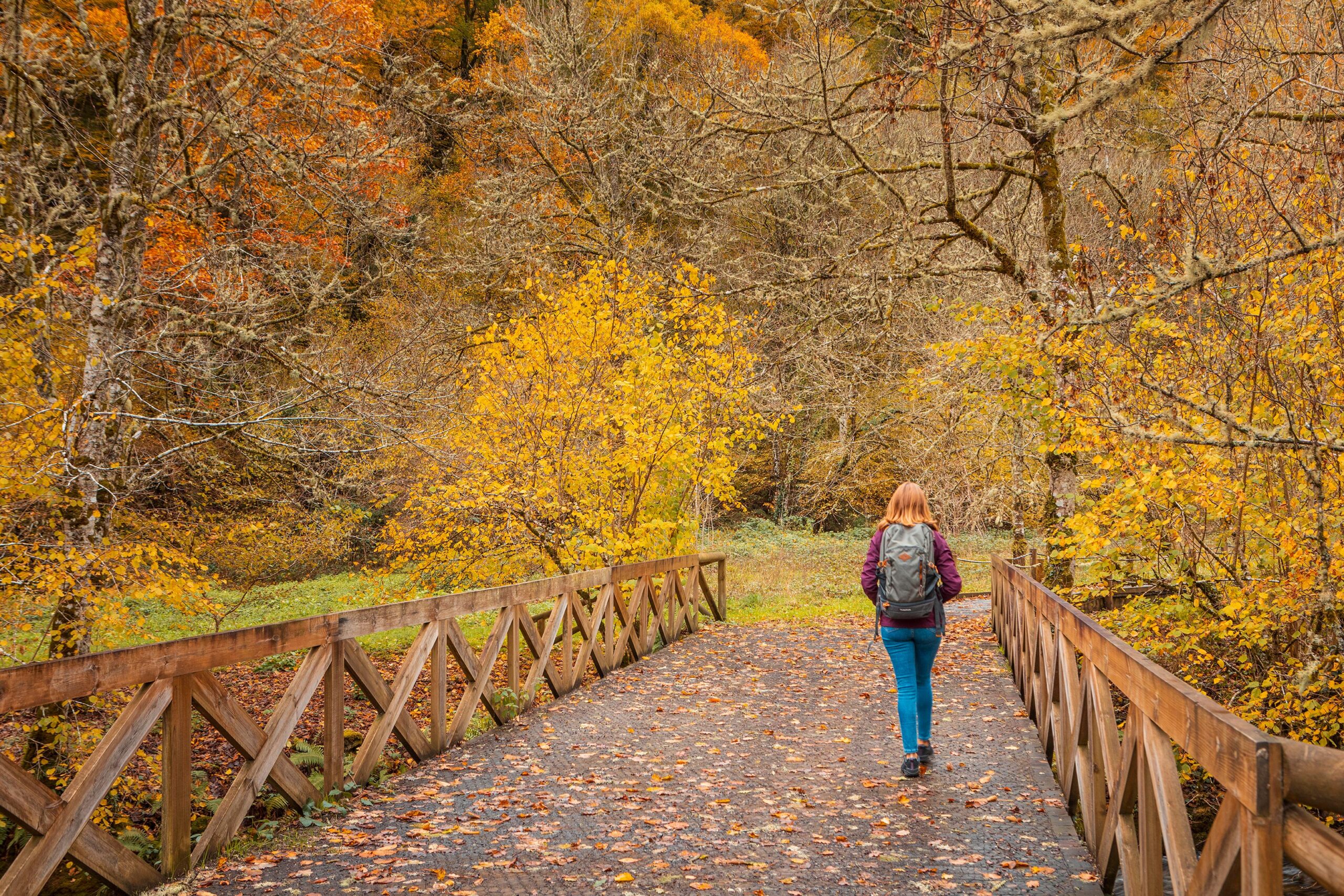 Parque Natural y Reserva de la Biosfera de las Fuentes del Narcea ...