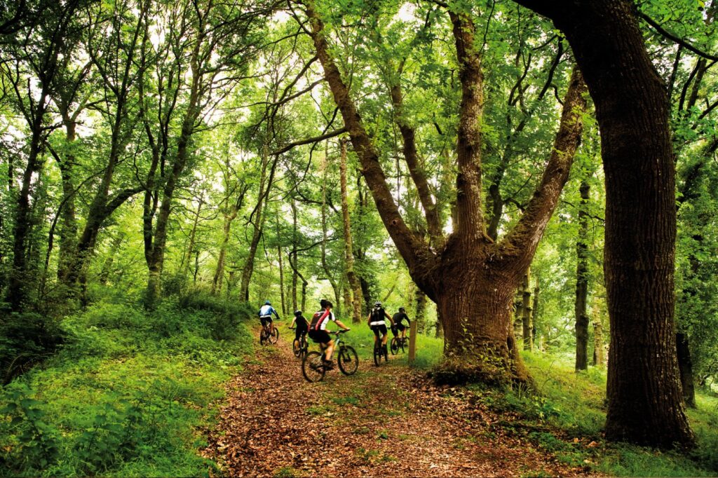 Nature and Ecotourism in Green Spain: Sustainable Adventures